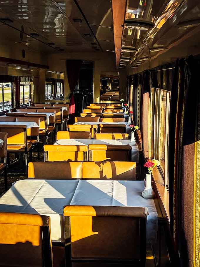Sunshine streams through windows onto classic dining car seating where conversations flow as smoothly as the scenery.