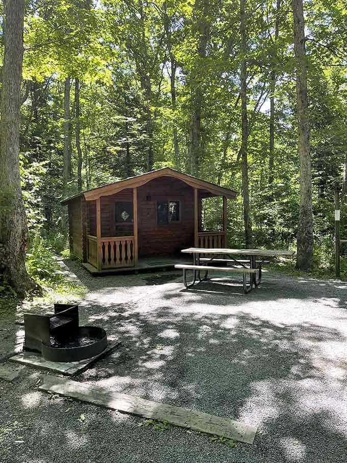 Camping cabins that prove roughing it doesn't mean sacrificing all creature comforts and sanity.