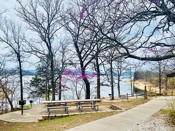 These weathered picnic spots have hosted countless family gatherings, each table holding stories of sandwiches and sunshine.