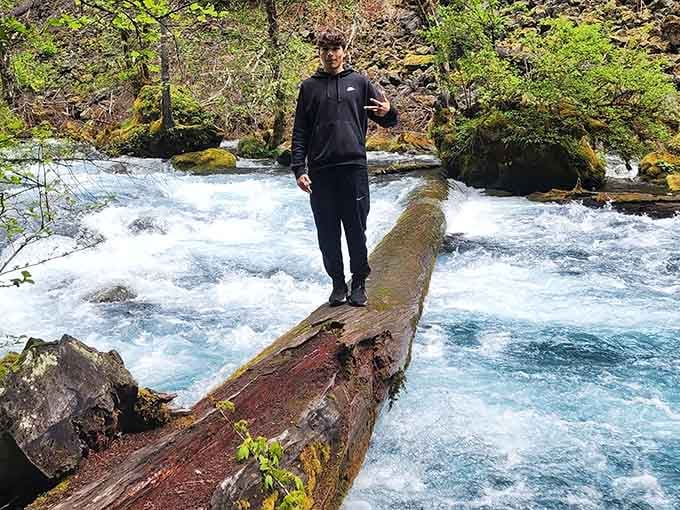 Nature's own balance beam across rushing water, though I'd recommend admiring it from solid ground.