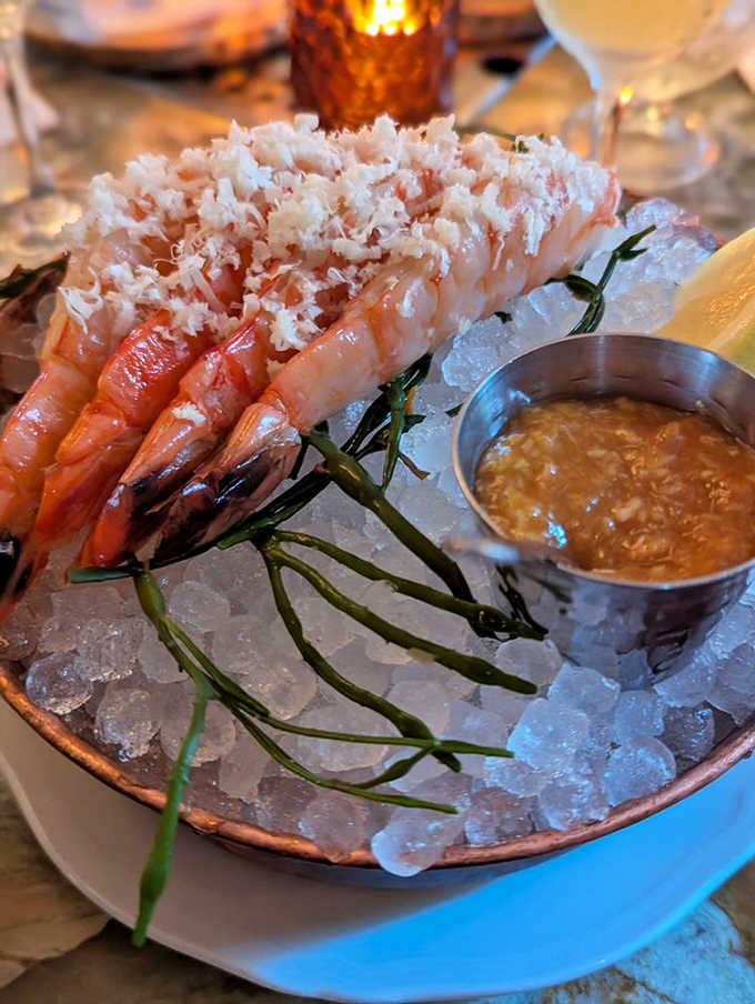 Jumbo shrimp cocktail presented on ice like the crown jewels they are, fresh and ready for their cocktail sauce bath.