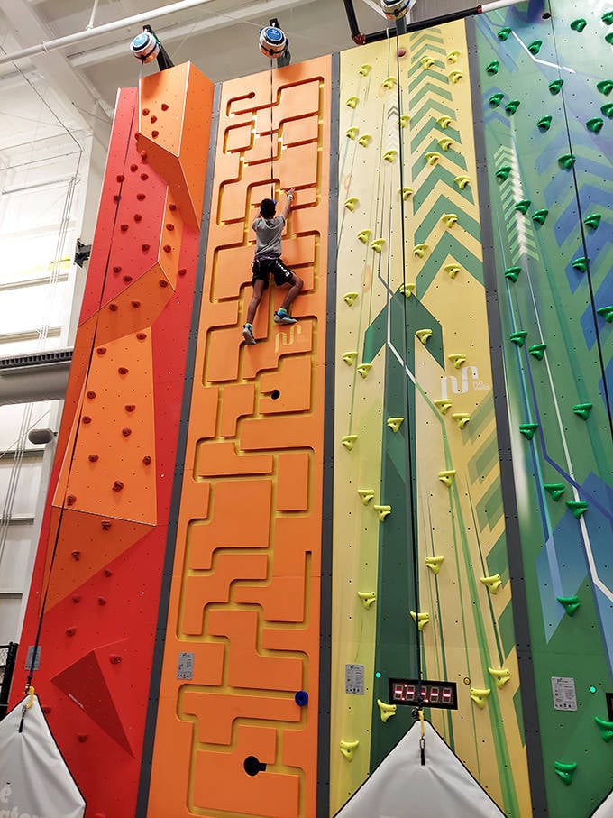 These towering walls feature every color of climbing hold imaginable, like a vertical candy store for adventure seekers.