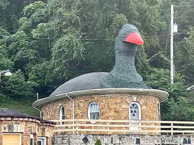 From this angle, you can truly appreciate the commitment required to build something this wonderfully absurd.