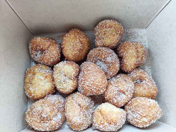 Sugar-dusted donut holes ready to crash your sundae party like the world's best uninvited guests.