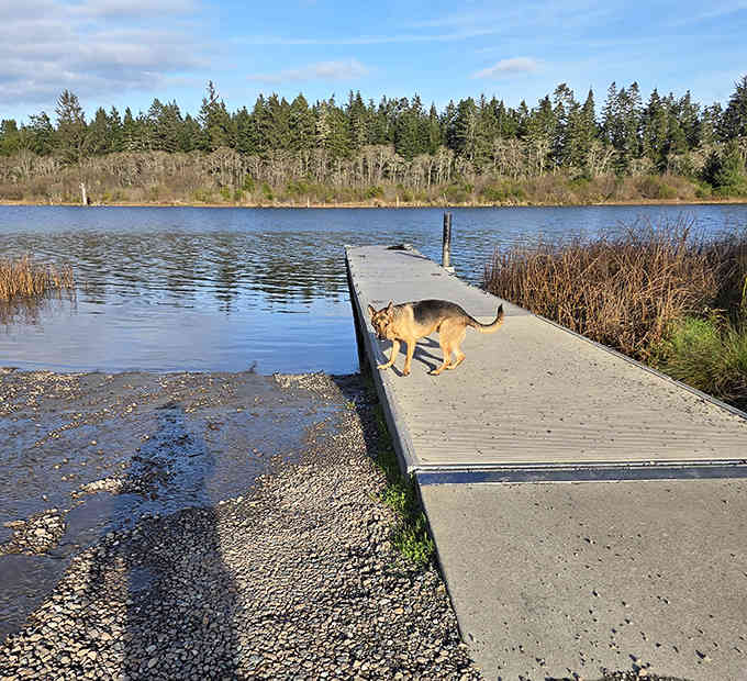 Even your four-legged friends can enjoy the waterside views, because paradise should always include good company and wagging tails.