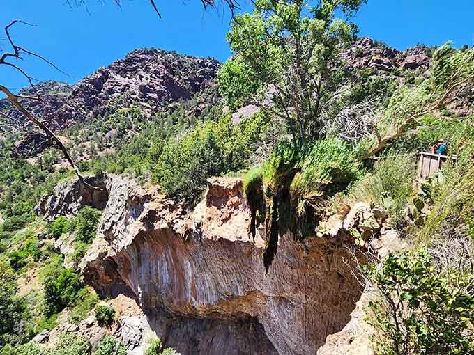 Trees cling impossibly to the bridge's edge, their roots finding purchase where logic says nothing should grow.