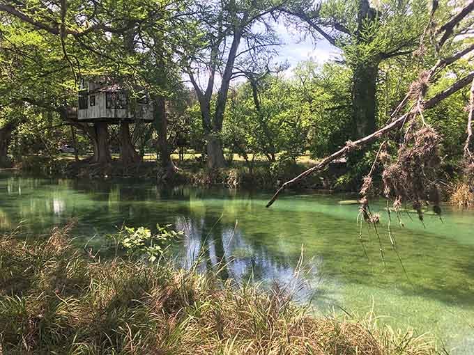 That swimming hole reflects the trees like nature's own mirror, perfect for contemplating life's bigger questions or nothing at all.