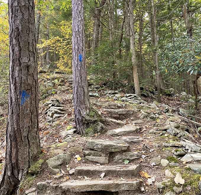 Stone steps carved by time and footsteps&mdash;nature's stairmaster without the monthly gym membership fee or judgment.