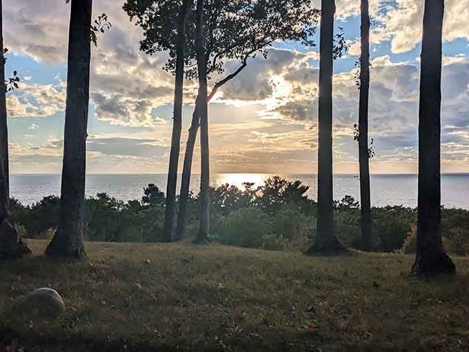 When the sunset decides to collaborate with Lake Michigan, you get pure magic through the trees.