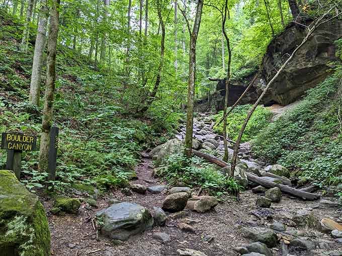 Boulder Canyon beckons explorers inward, where ancient rocks and rushing streams create nature's own obstacle course for adventurers.