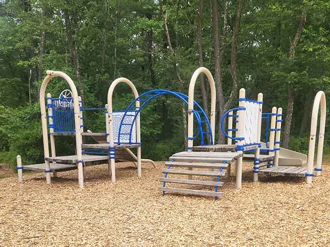Modern playground equipment nestled in the woods proves you can have fun at any age, no judgment here.