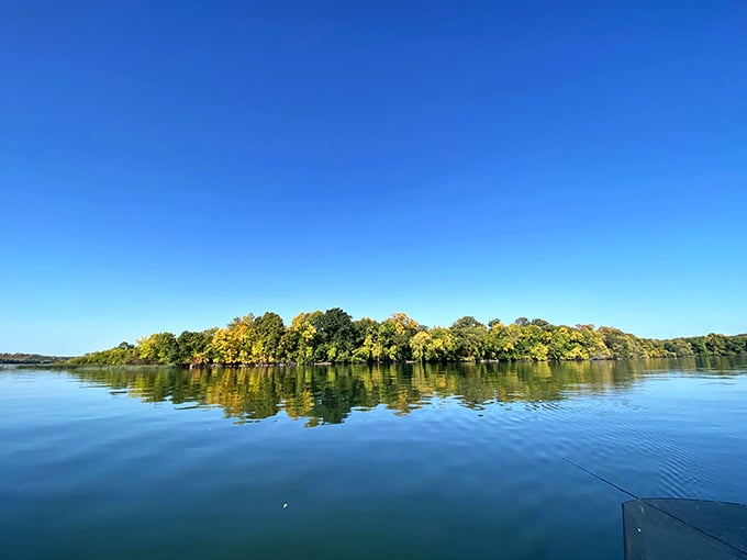 Leech Lake's mirror-smooth waters reflect the kind of peace you forgot existed until you stopped scrolling your phone.
