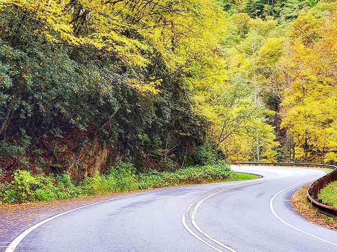 Autumn paints the byway in colors that make even the most jaded traveler reach for their camera.
