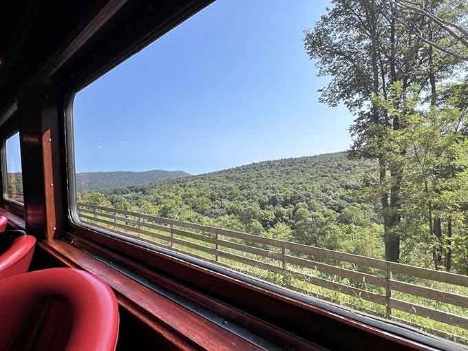 Mountain vistas unfold beyond the window, the kind of view that makes you forget your phone exists for minutes.