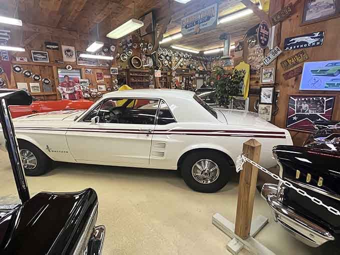 White Mustang convertible perfection, proving that some things really do get better with age, unlike your knees.
