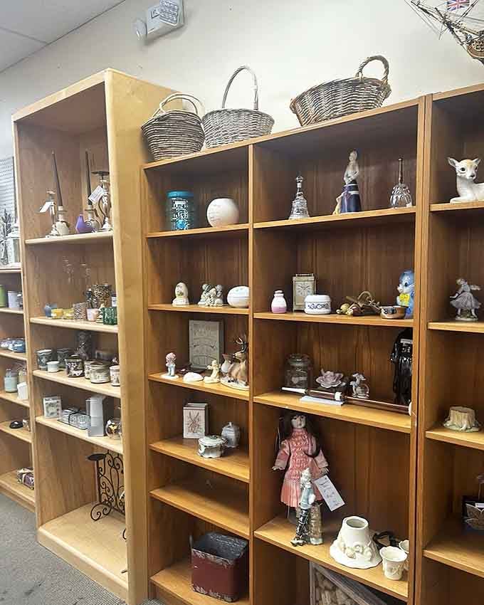 Decorative treasures arranged on shelves like a curated collection, not a chaotic jumble of forgotten knickknacks.