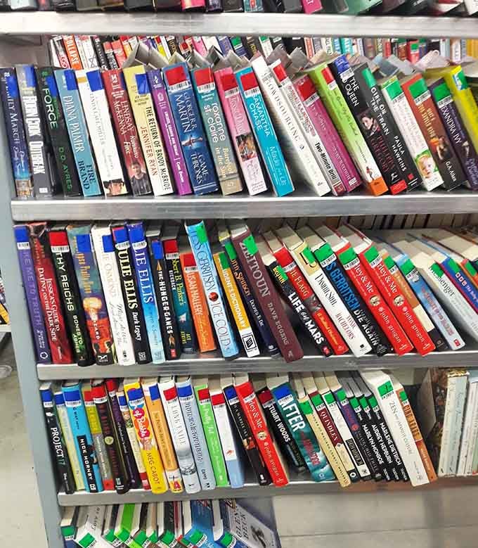 Books offering endless worlds to explore, all waiting patiently for readers who appreciate a good bargain.