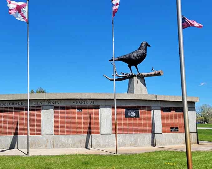 That's one photogenic crow watching over the memorial wall like a guardian of small-town pride and perseverance.