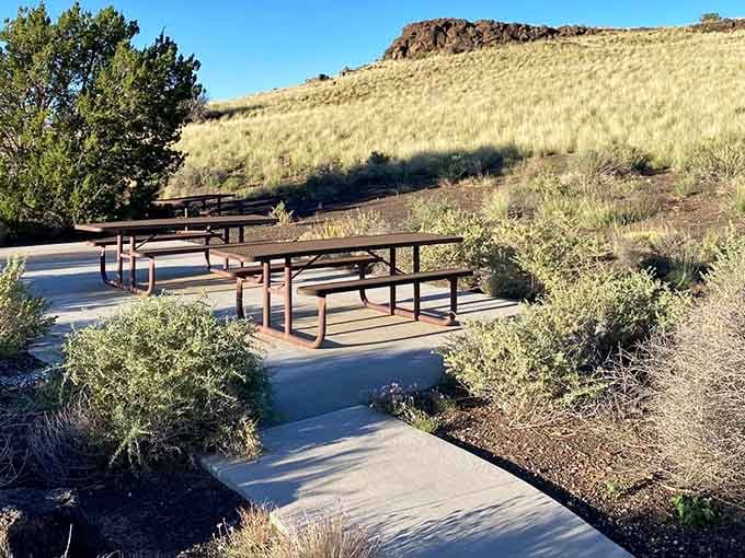Picnic tables positioned perfectly for contemplating centuries of human ingenuity over lunch.