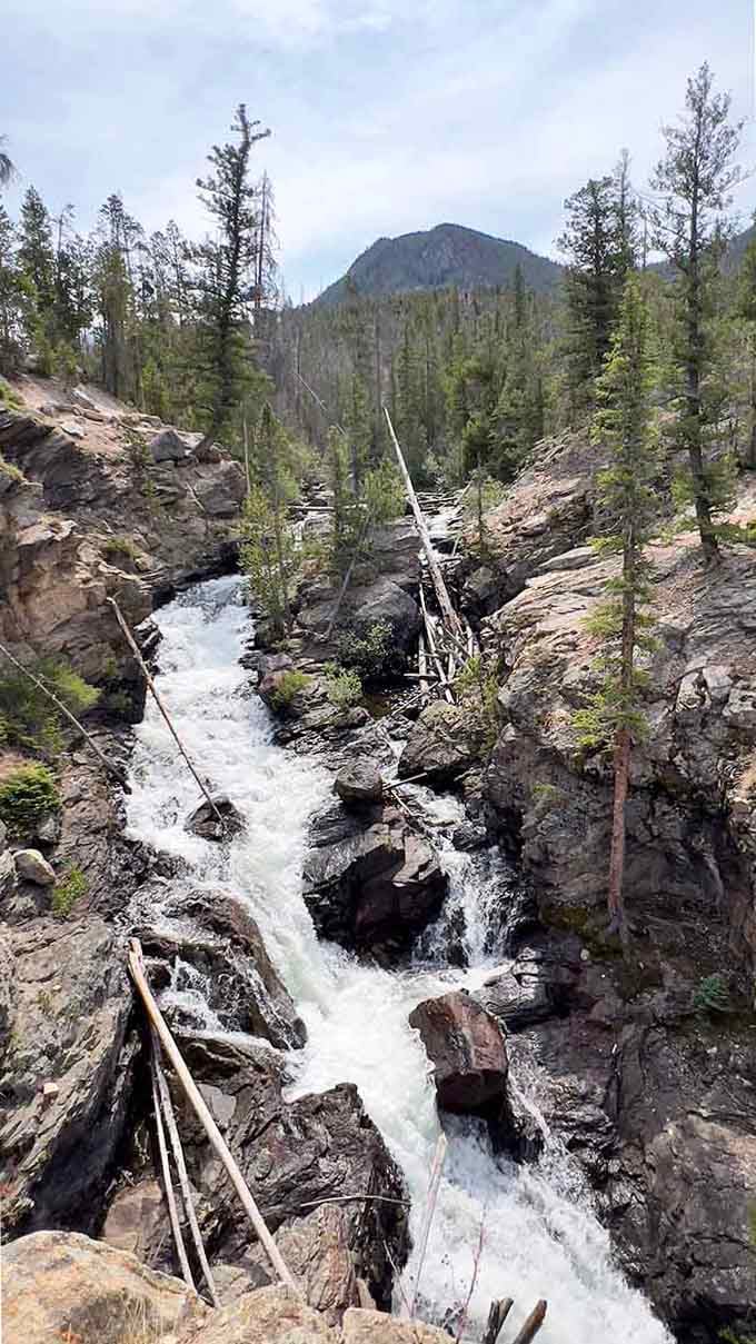 White water crashes through rocky channels with impressive force, carving paths through boulders on its mountain journey downward.