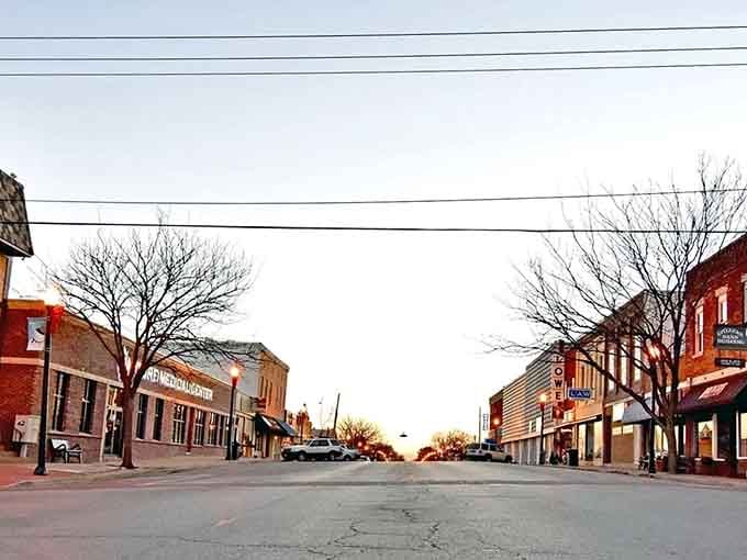 Winter-bare trees line quiet commercial streets where strip malls serve communities without pretense or unnecessary fanfare.
