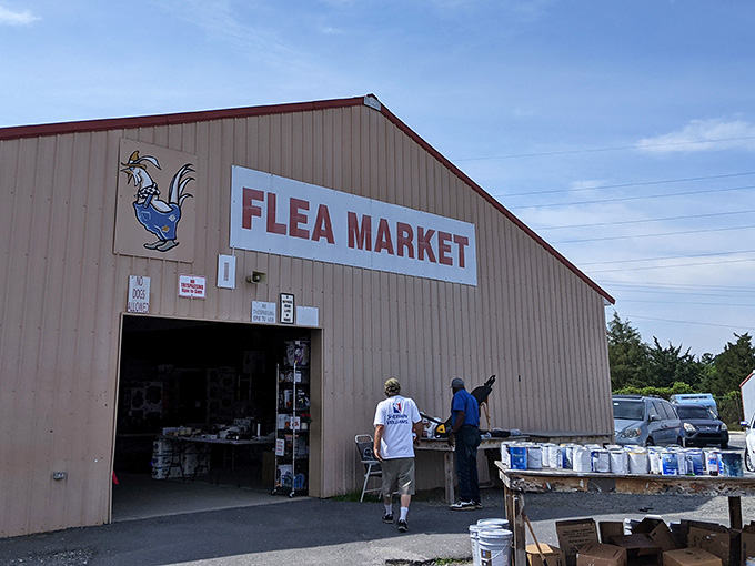 That cartoon rooster mascot greets shoppers with Southern charm, marking the entrance to bargain-hunting paradise below.
