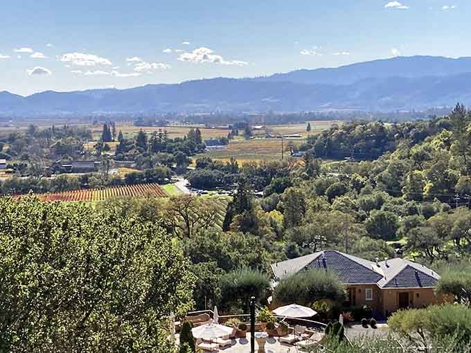 Vineyards roll across the valley floor while olive trees dot the hillside in a scene Tuscany would happily claim.