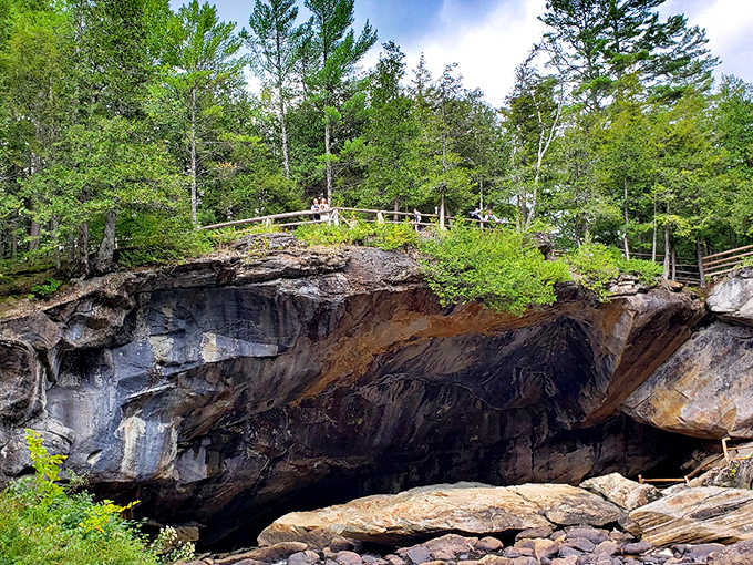 This massive cave opening yawns beneath the forest floor, inviting explorers to discover what lies in the cool darkness below.