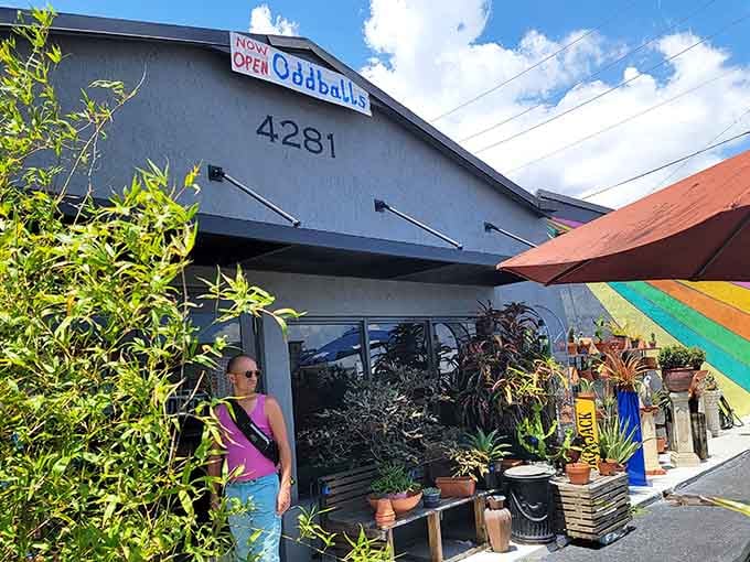 Oddballs: Where quirky charm meets garden-fresh vibes at 4281&mdash;now open and ready to surprise you.