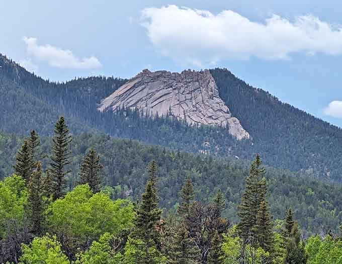 The winding mountain highway curves through dense forest where every turn reveals another reason why scenic drives were invented here.