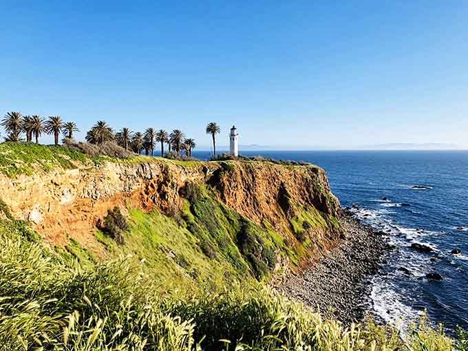 Palm trees and dramatic cliffs create an unexpectedly tropical vibe for this classic California lighthouse standing guard over blue waters.