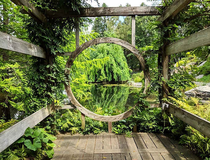 This circular moon gate frames the pond perfectly, like someone designed tranquility itself and built it.