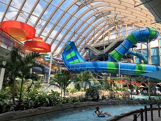 That curved glass ceiling brings the outdoors in, letting natural light dance across tropical plants and twisting water slides.