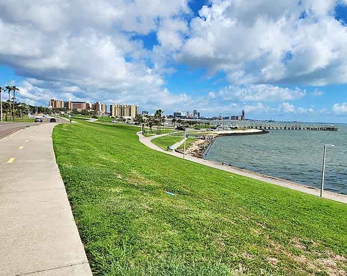 Waterfront views stretch endlessly along this coastal boulevard, where palm-lined paths invite morning walks beside the sparkling bay waters and gentle breezes.