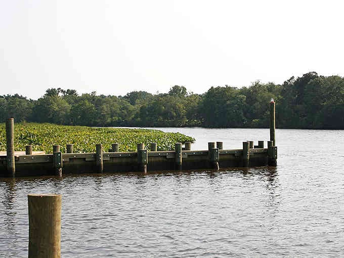 Wooden pilings march into the Choptank River near Denton, where fishing and peaceful water views come without the oceanfront price tag.