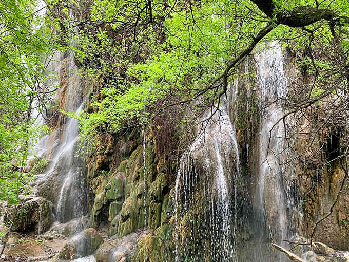 Emerald moss blankets the travertine falls, where seventy feet of flowing water creates a living, breathing masterpiece.