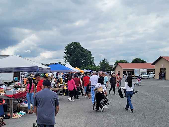 Colorful vendor tents dot the parking lot as crowds flow between stalls like a river of savvy shoppers.