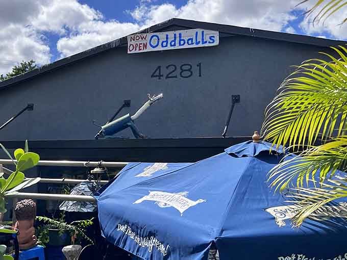 Treasure hunting under the Florida sun&mdash;where one person's "what was I thinking?" becomes your "I can't believe I found this!".