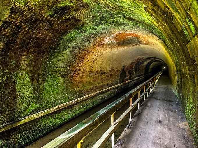 Inside the tunnel, moisture creates an otherworldly palette of greens and golds on the ancient brick walls, like nature's own art gallery.