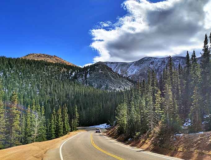 Dense pine forests frame the road ahead where adventure waits around curves that promise views worth every careful mile driven.