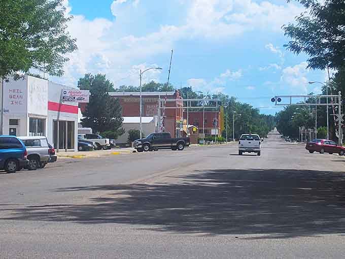 Summer trees frame the main street perfectly, creating natural canopies that make every stroll feel like a scene from Mayberry.