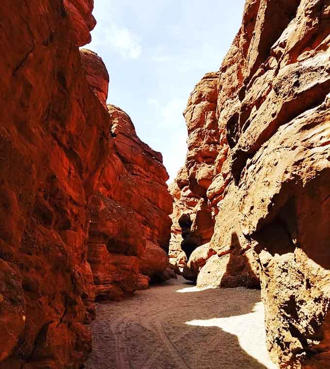Hidden slot canyons reveal layers of geological history more captivating than any museum exhibit you've ever seen.