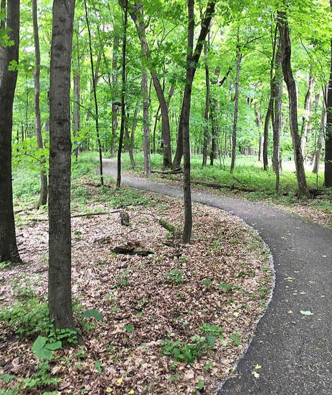 Wooded trails wind through parks offering peaceful escapes just minutes from downtown's historic streets.