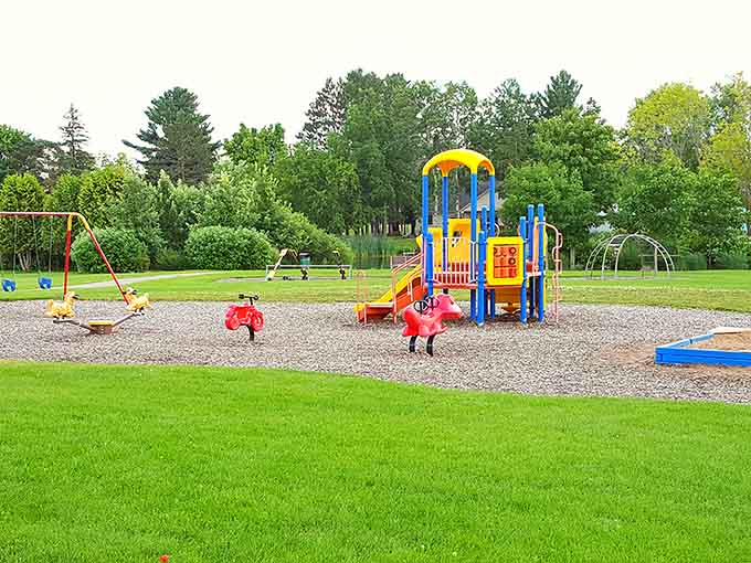 Community parks provide spaces for picnics, fishing, and relaxation without requiring reservations or paying for lakefront property taxes.
