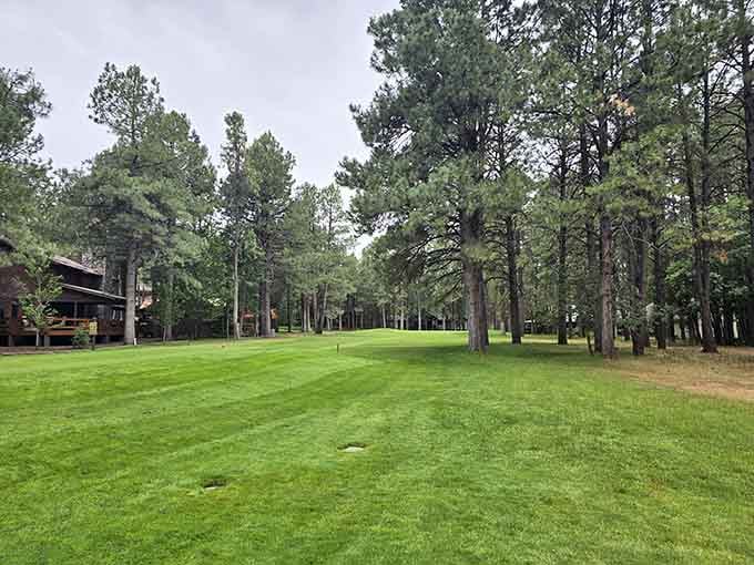 A campground where your biggest decision is which tree provides the best afternoon shade sounds perfect.