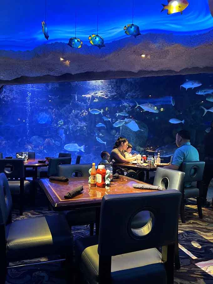 Dining next to a massive aquarium makes every meal feel like an exclusive underwater dinner party.