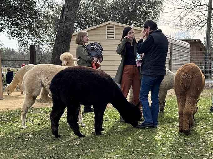 The crew assembles like they're posing for their own album cover, and it's absolutely going platinum.
