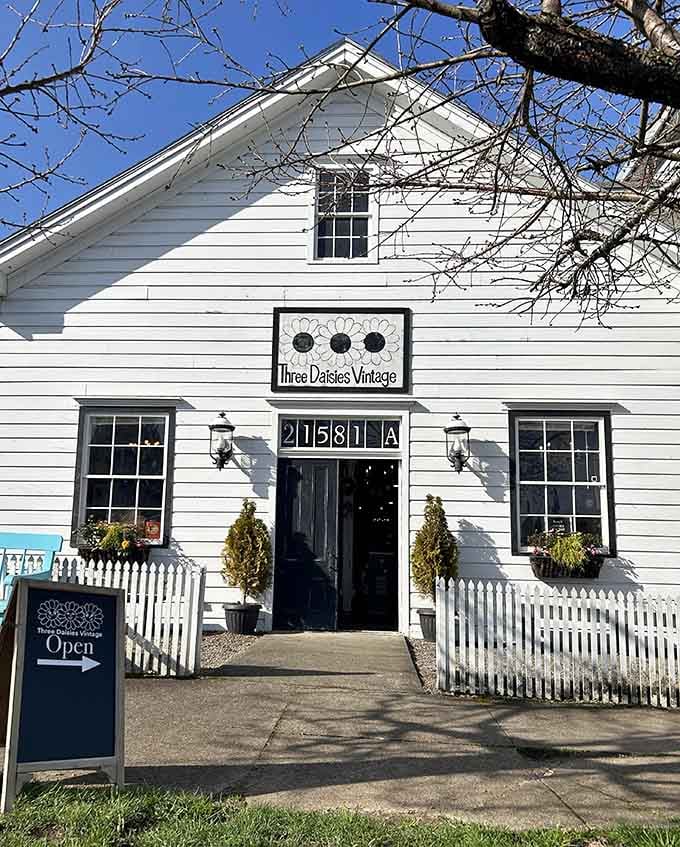 Three Daisies Vintage occupies a historic building where the architecture alone is worth the visit, antiques included free.