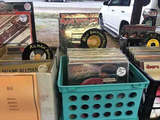 Vinyl records for music lovers who remember when albums had actual artwork worth displaying on your wall.