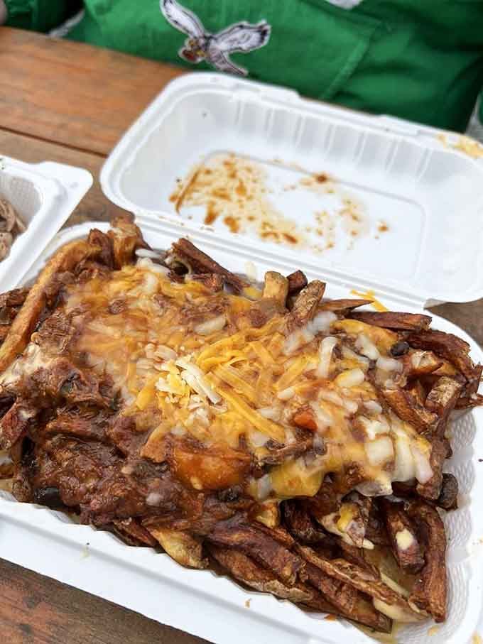 Loaded fries topped with enough pulled pork to qualify as a full meal experience.